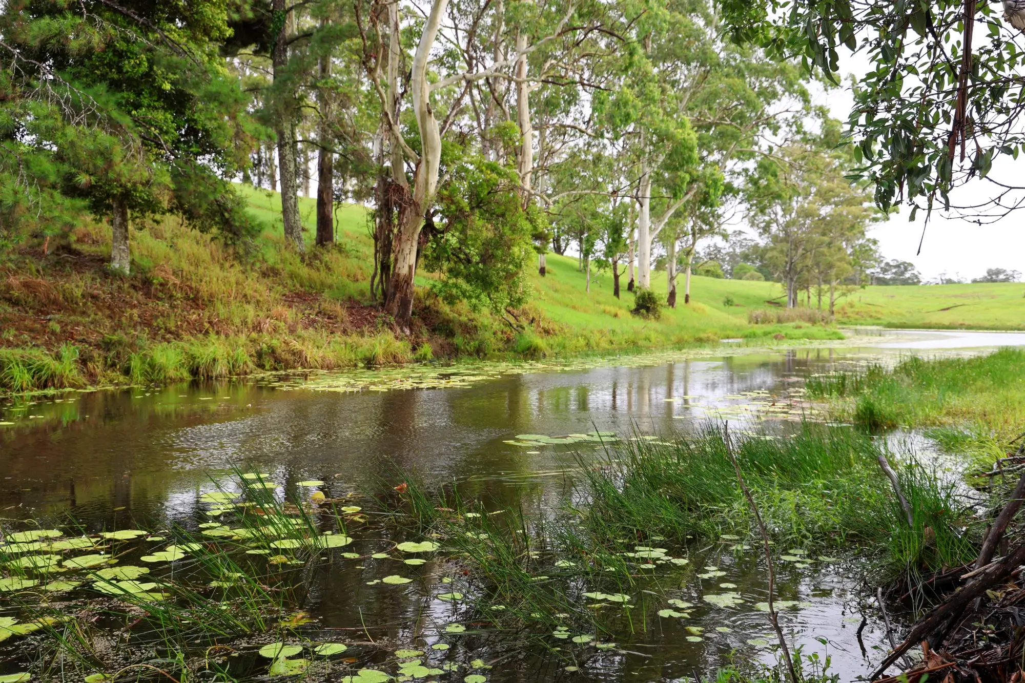 Land Acreage Listings For Sale Rural Land Group